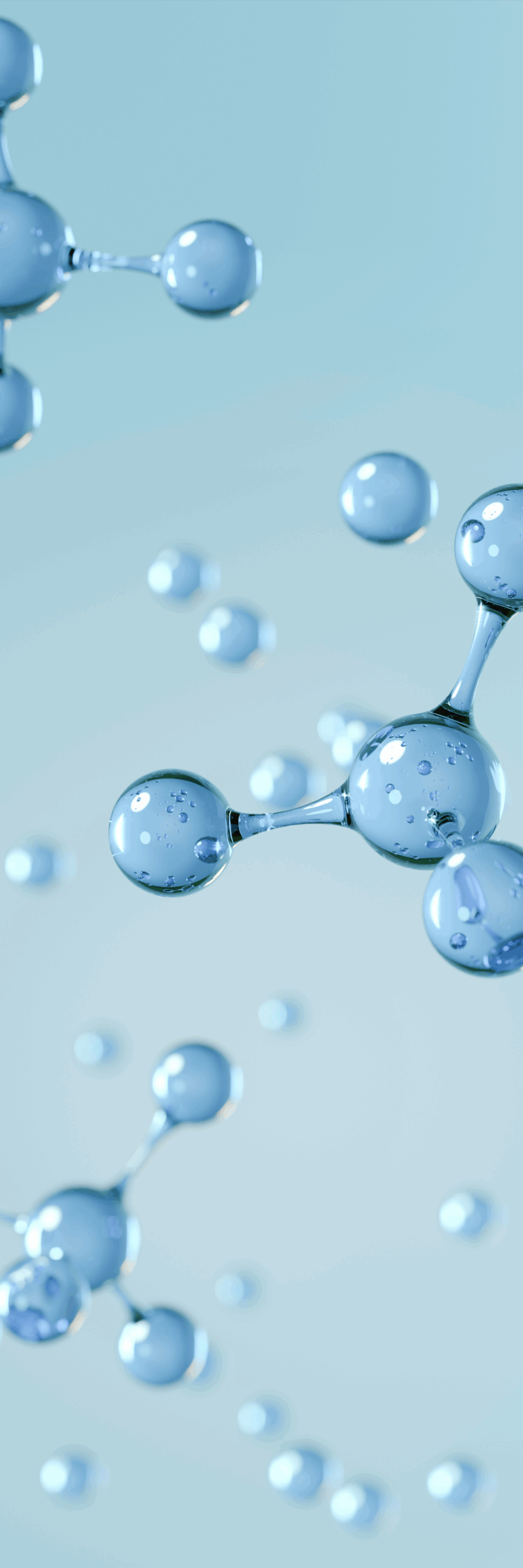 Networking & Telecoms - CBS